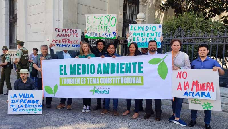 Candidata constituyente regionalista verde por La Araucanía: Gemita ...